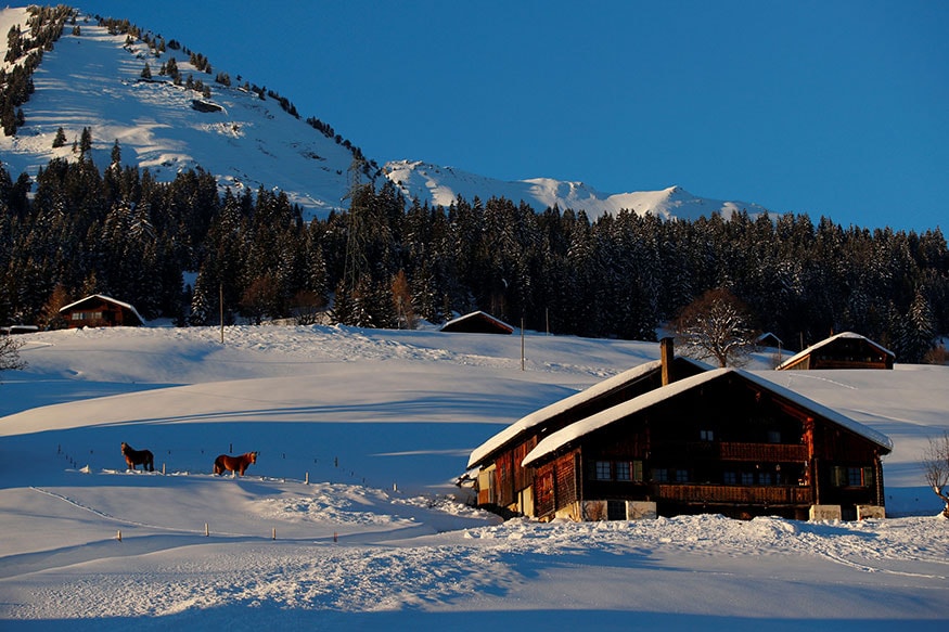 20 Stunning Photos of Places Covered in Snow; Check 'Em Out - News18