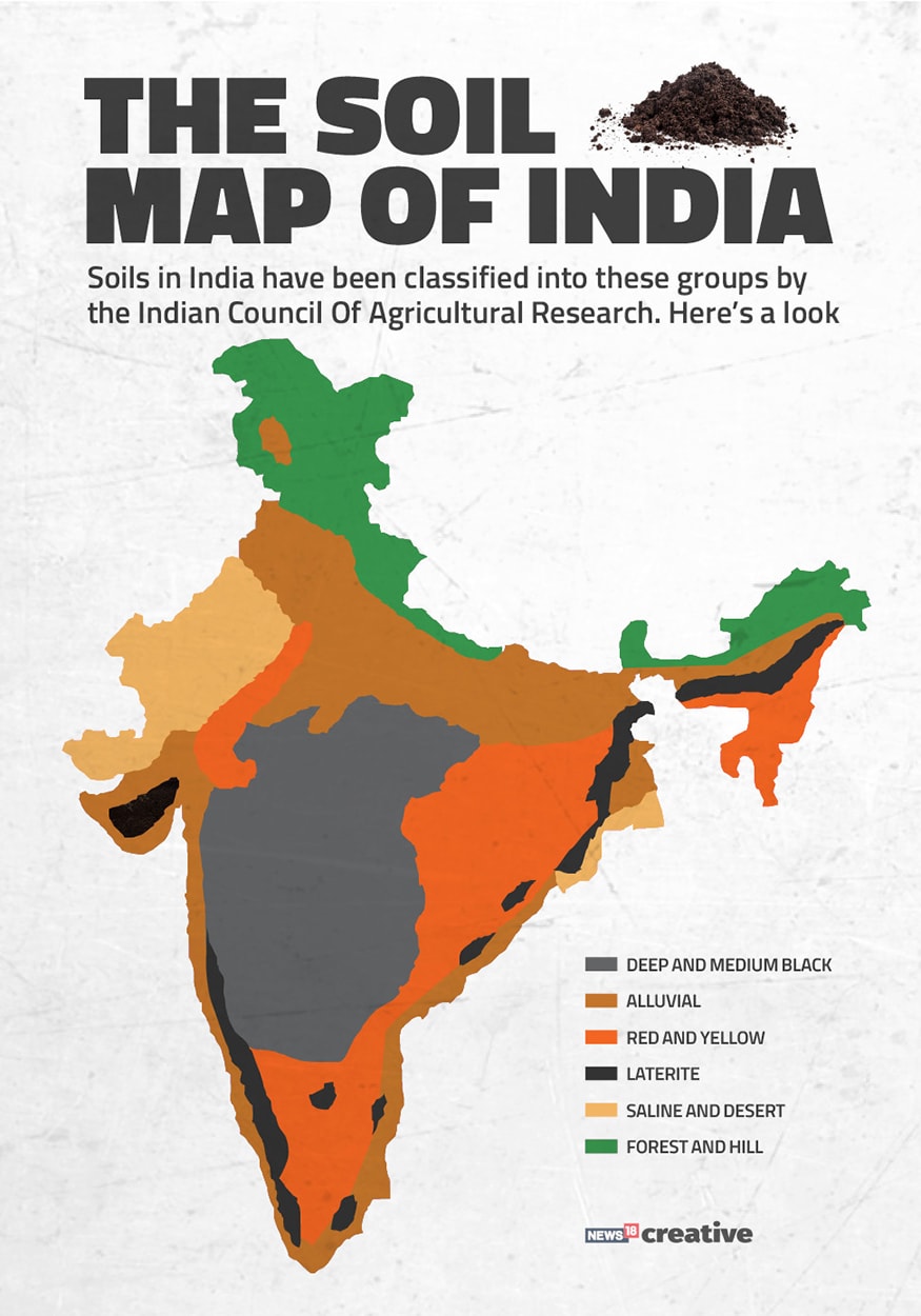 December 2017: Best Infographics of the Month - News18