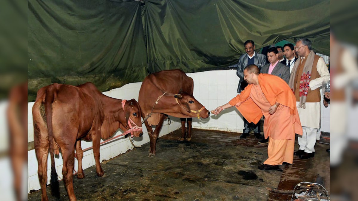 Yogi Government to Give Rs 30 Per Day to Individuals in Bundelkhand to ...