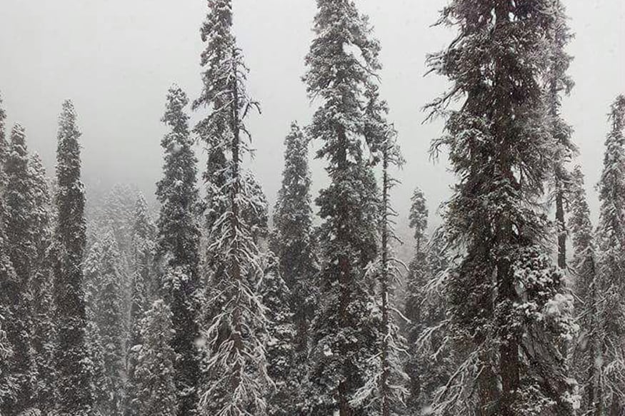 Jammu & Kashmir’s Shopian Soaks in its First Snowfall of the Season ...