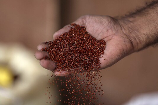 The Super Grain: Reap the Power of Ragi from Your Diet