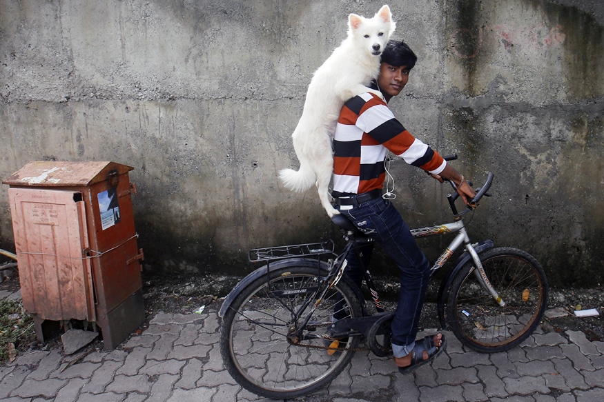 Happy Friendship Day: Incredible Friendship Between Humans & Animals ...