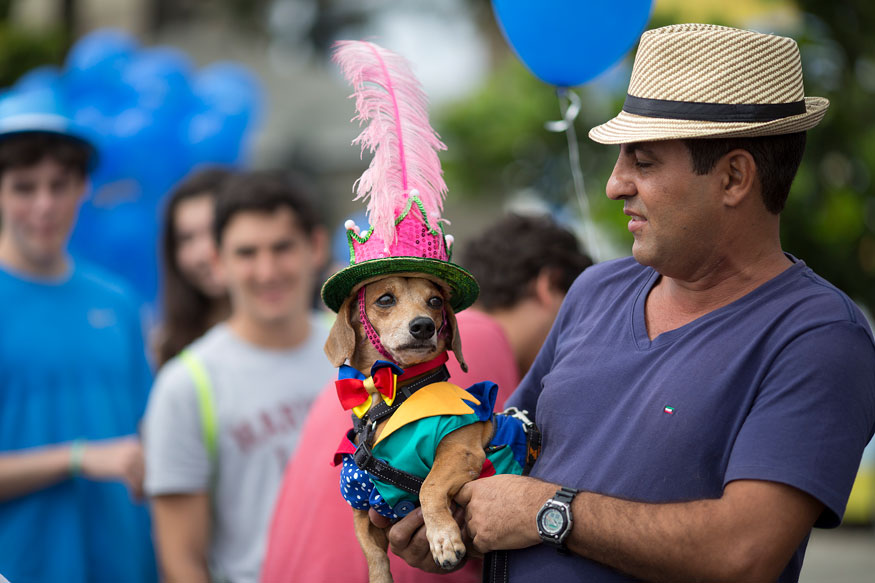 Brazil's Dog Carnival Parade; Check Out the Photos - News18