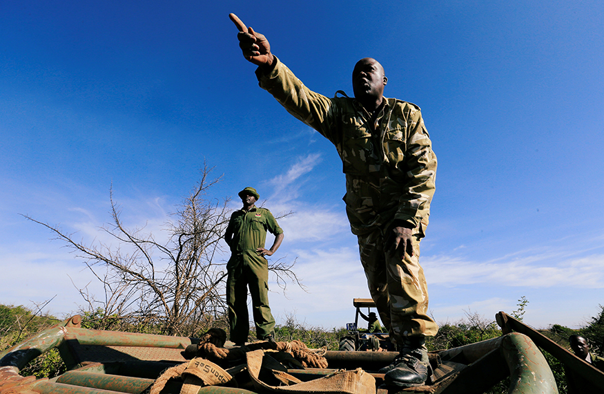 Mass Capture & Translocation of Wild Animals in Kenya - News18