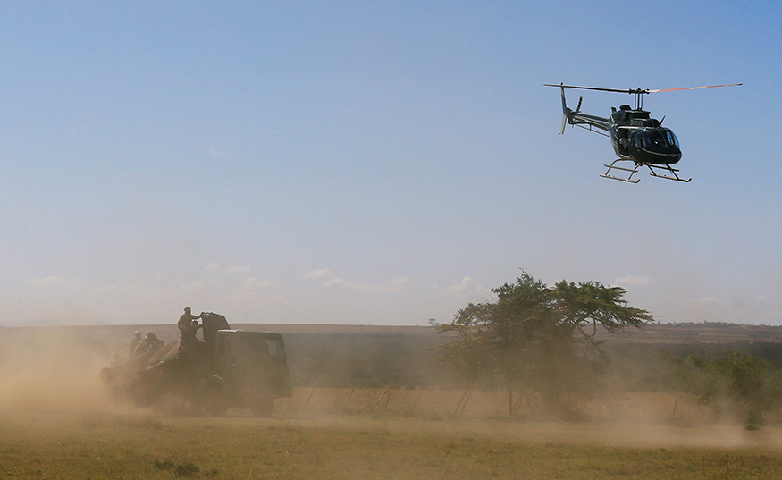 Mass Capture & Translocation of Wild Animals in Kenya - Photogallery