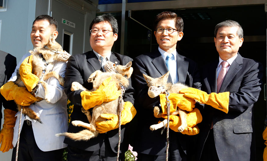 In Pictures: 20 Cloned Animals Through the Years - News18