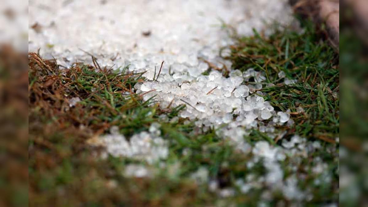 Three Dead, Crops Damaged as Hailstorm Hits Parts of Maharashtra