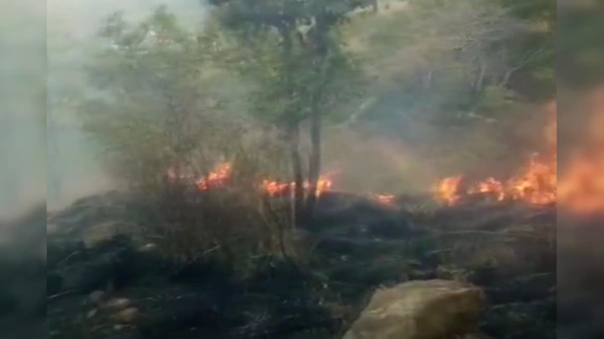 Forest Fire in Tamil Nadu's Theni Traps Over 30, Air Force Called in ...