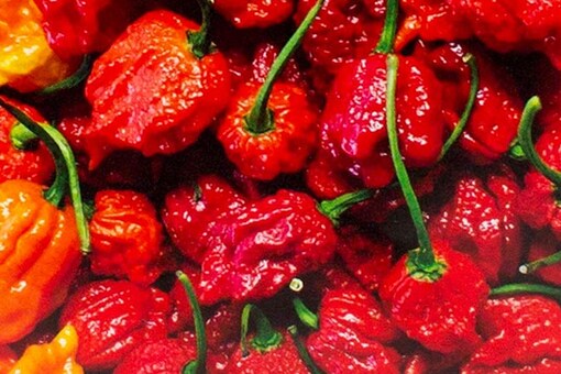 World's Hottest Chilli Pepper Gives Man 'Thunderclap' Headaches