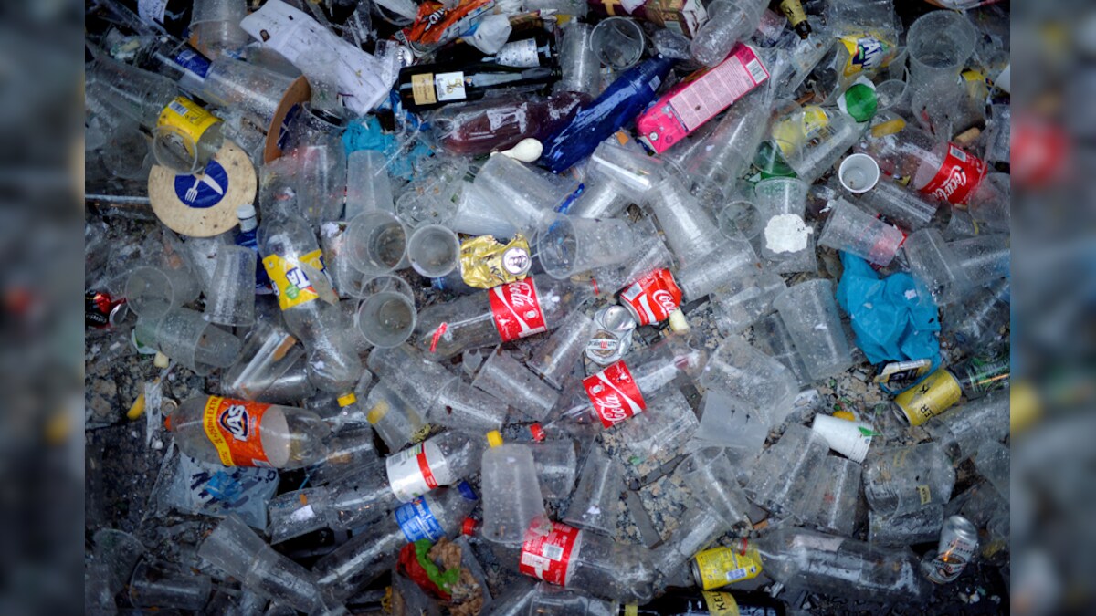 'Plastic-eating' Bacteria Discovered by Indian Scientists from Wetlands ...