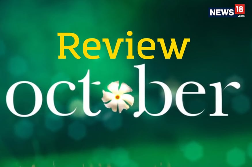 October Review: Is Varun Dhawan's Evolution Worth Watching? - News18