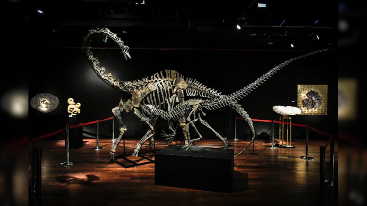 Dinosaur Bones are Home to Unique Microscopic Life, Claims Study - News18