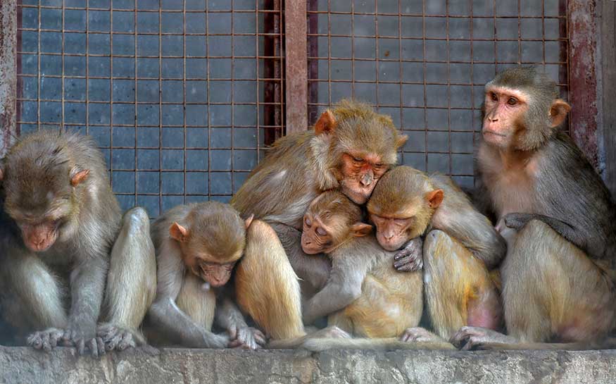 In Pictures: Animals Beating the Heat Like a Boss! - News18
