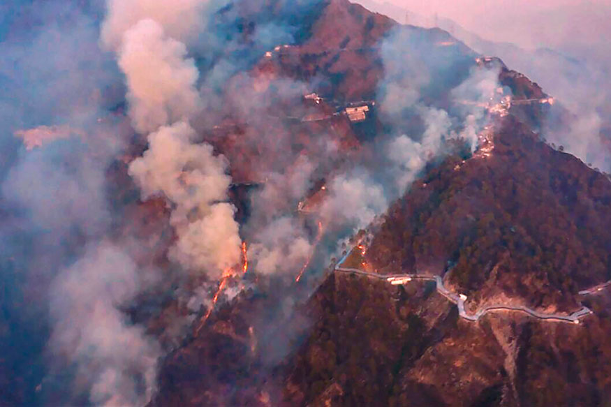 Day in Photos - May 24: Katra Forest Fire; Ganga Dussehra 2018 ...
