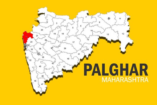 Palghar Election Result Live Updates: BJP's Gavit Rajendra Dhedya Wins ...