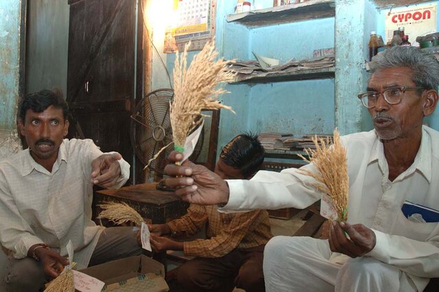 Dadaji Ramaji Khobragade: Rural Inventor Who Revolutionalised Rice ...