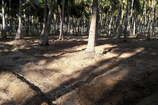 Keezhadi Excavation: Archaeologist Who Found Sangam Era Relics Denied ...