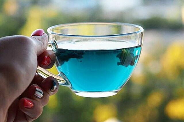 10 Facts You Must Know Before Trying Blue Tea - News18