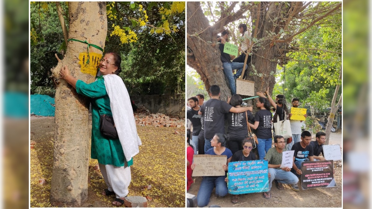 'It is Getting Hard for Us to Breathe in Delhi': Why 1500 Delhi ...