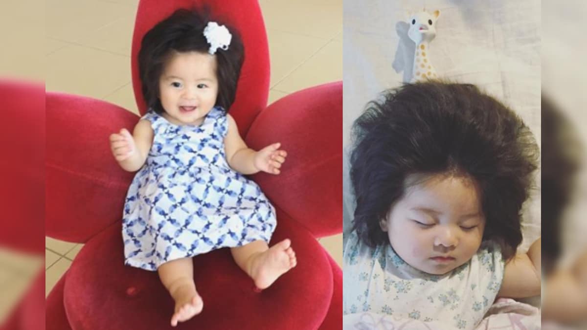 Baby Chanco from Japan Has Become an Overnight Internet Sensation ...