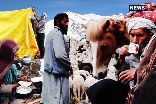 Walking With the Bakarwals, Through Jammu and Kashmir With the Nomads ...