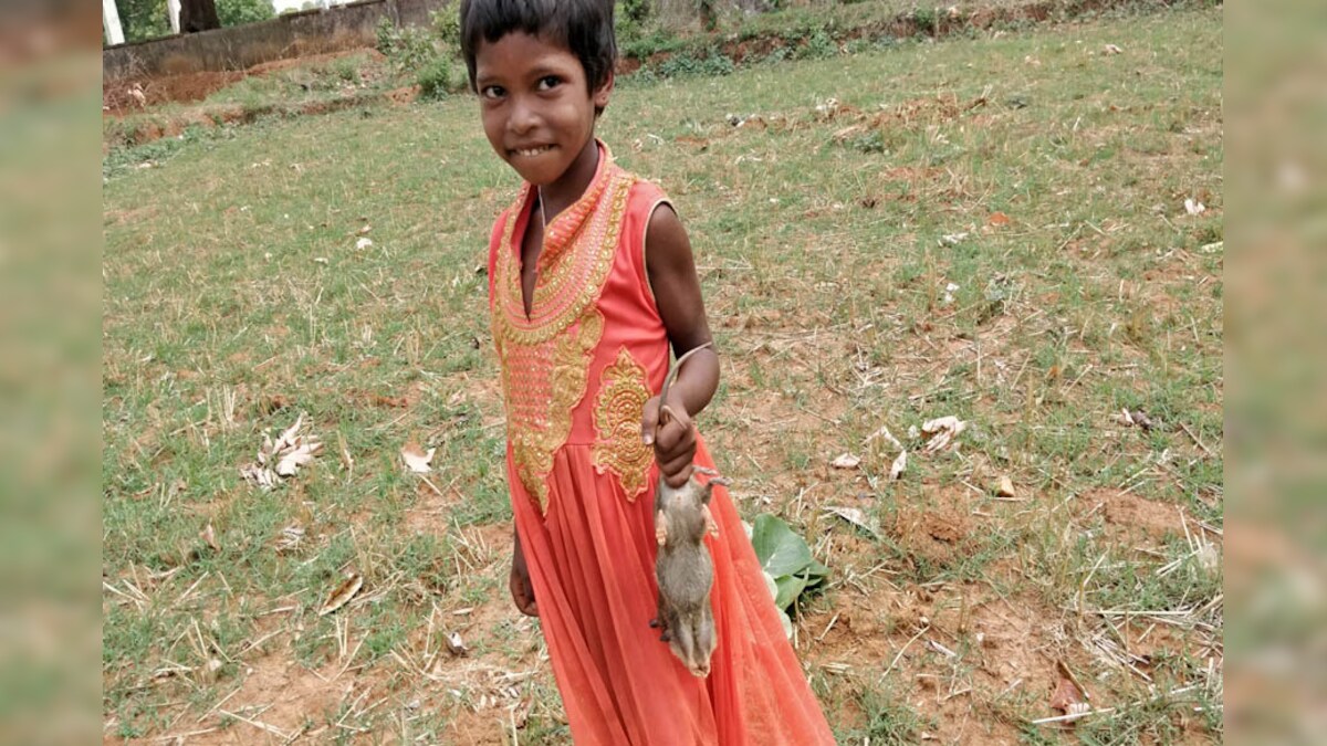 Eating a Rat for Breakfast, Lunch and Dinner in 21st Century India - News18