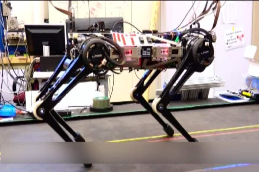 Watch: Cheetah 3, Miracle Robot - News18
