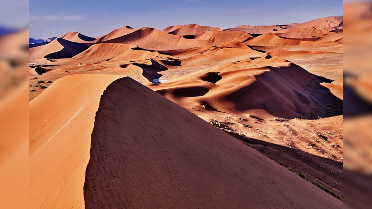 Scientists Find 'World's Oldest' Biological Colours in Sahara Desert
