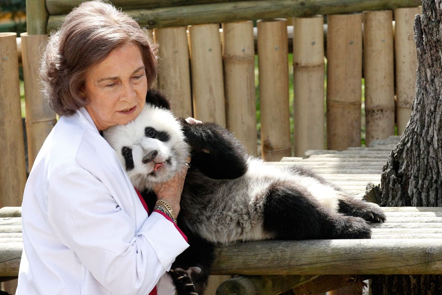 Happy Friendship Day: Incredible Friendship Between Humans & Animals ...