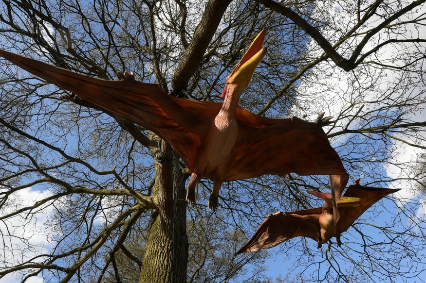 Scientists Unveil Unkown Species of 200-Million-Year Old Pterosaur ...