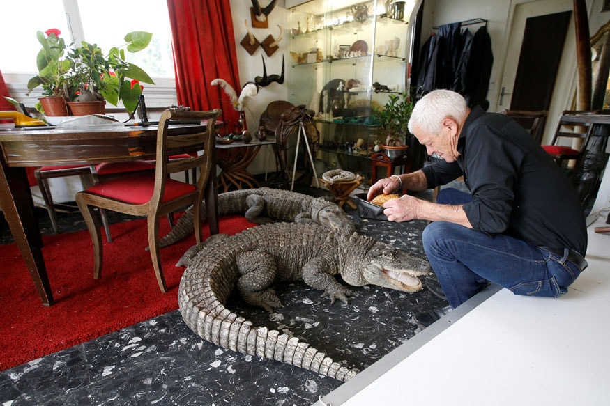 Frenchman Shares Home With 400 Reptiles Including Alligators ...