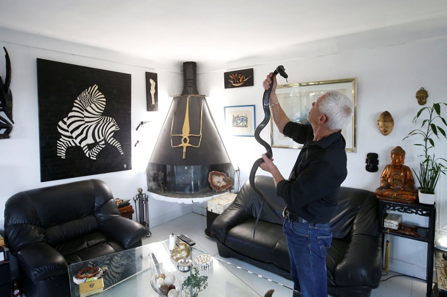 Frenchman Shares Home With 400 Reptiles Including Alligators ...