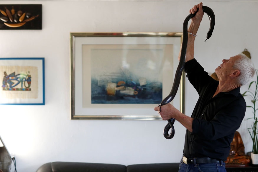 Frenchman Shares Home With 400 Reptiles Including Alligators ...