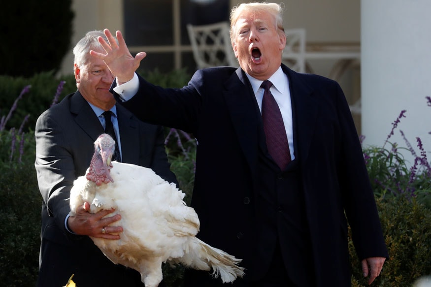 Happy Thanksgiving: A Look at Presidential Turkey Pardons - News18