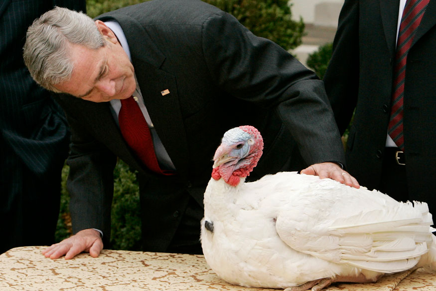 Happy Thanksgiving: A Look at Presidential Turkey Pardons - News18