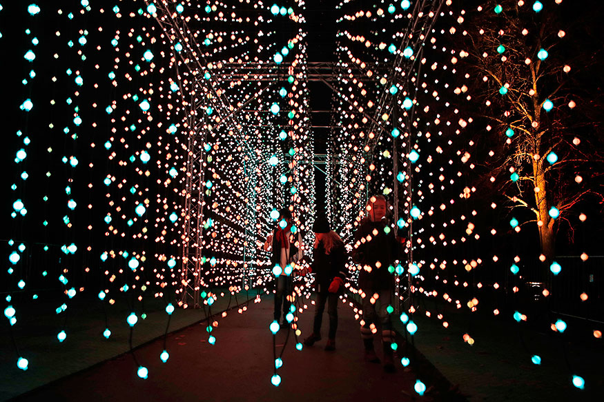 Here's Sneak Peek at Illuminated Kew Gardens in London - News18