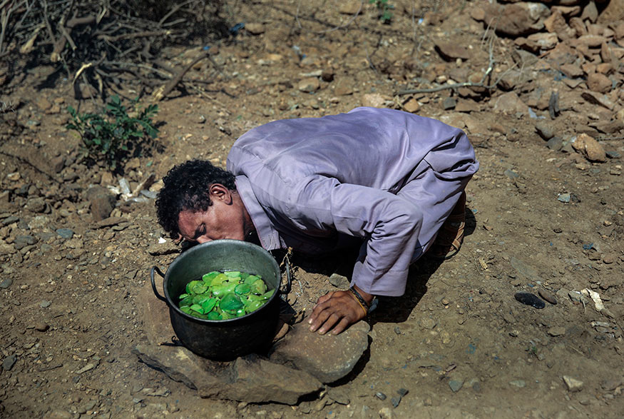 People in Yemen Eat Crumbs, Leaves to Stave off Famine - News18