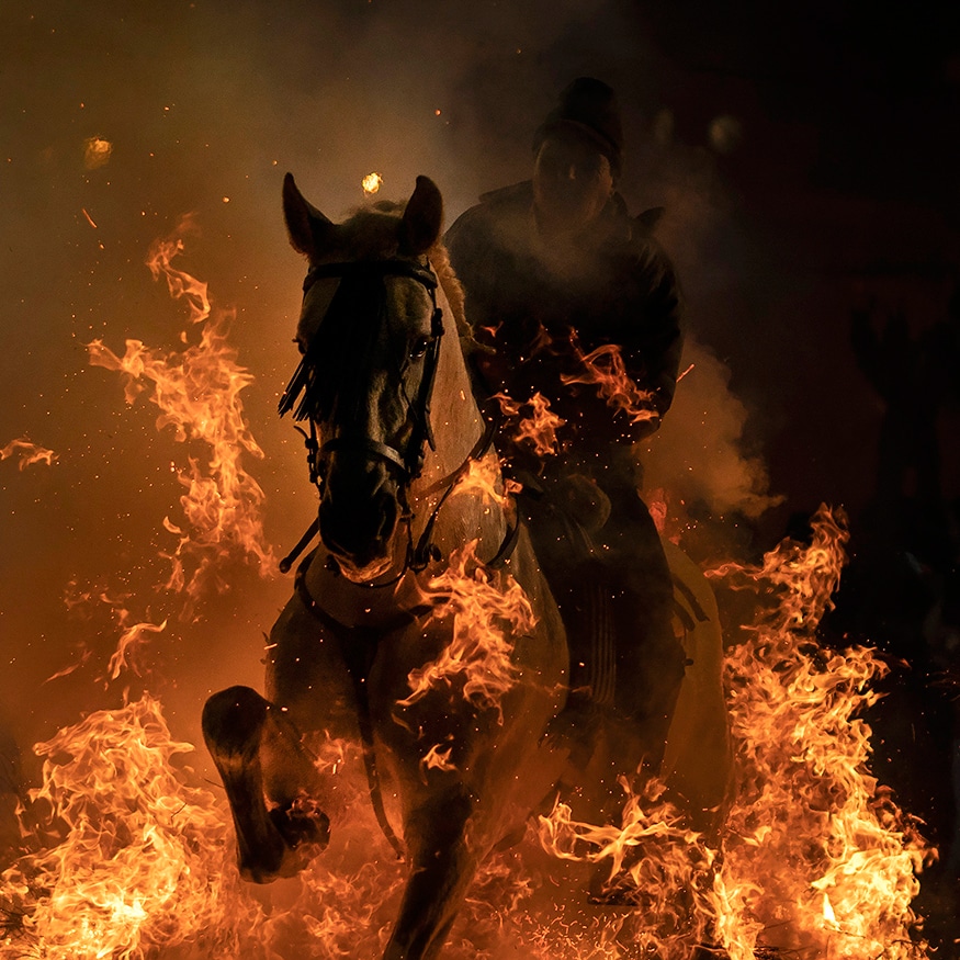 Shocking Visuals! Horses Ridden Through Fire For Purification in Spain ...