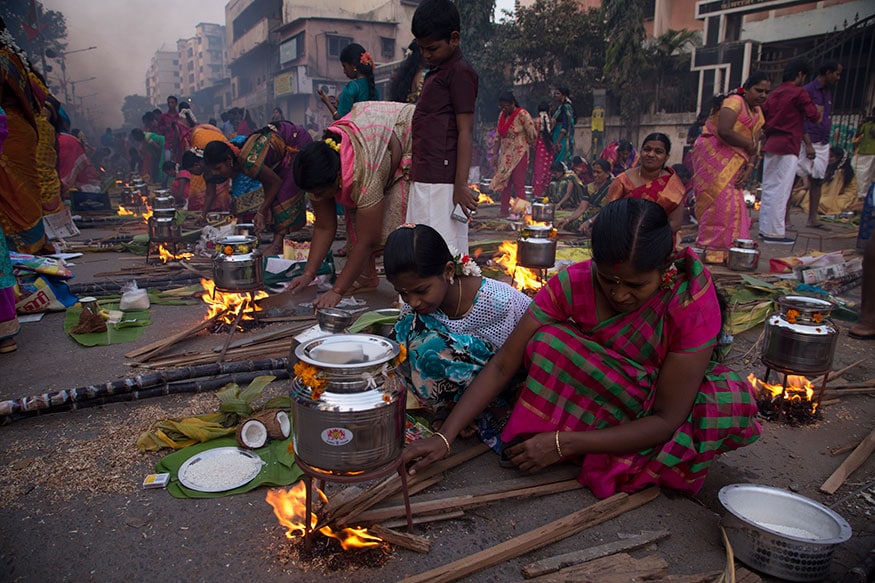 Happy Pongal 2023: All You Need to Know About the Tamil Harvest ...