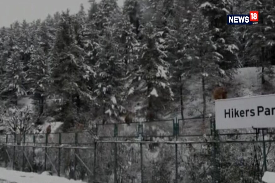 Fresh Snowfall Turns Kashmir’s Pahalgam Resort Into Winter Wonderland