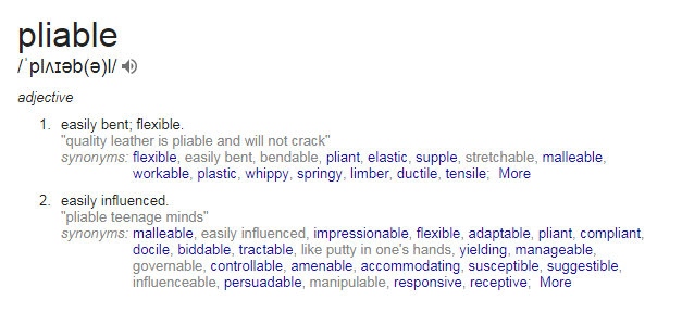 Indians are Furiously Googling 'Pliable' to Make Sense of Rahul Gandhi ...