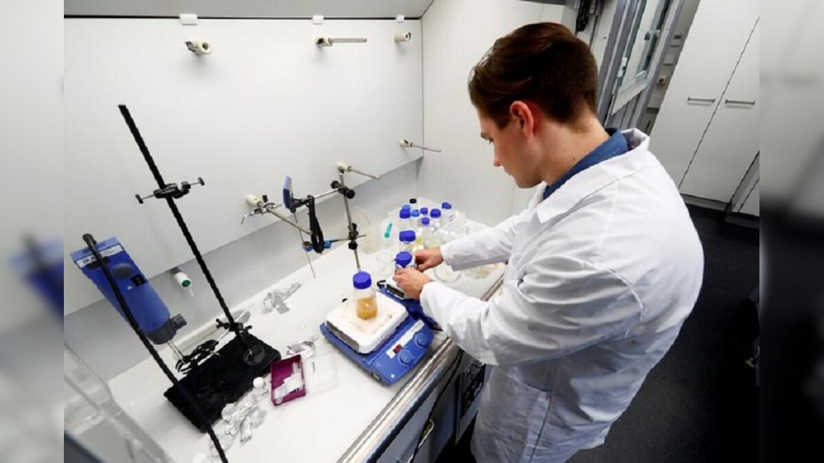 5,700-year-old ‘Chewing Gum’ Holds Key to Lives of Ancient People and ...