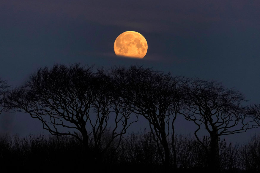 Super Snow Moon 2019: Spectacular Pictures Around the World - News18
