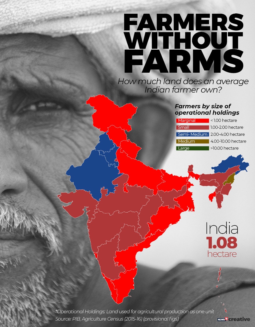 February 2019: Best Infographics of the Month - News18