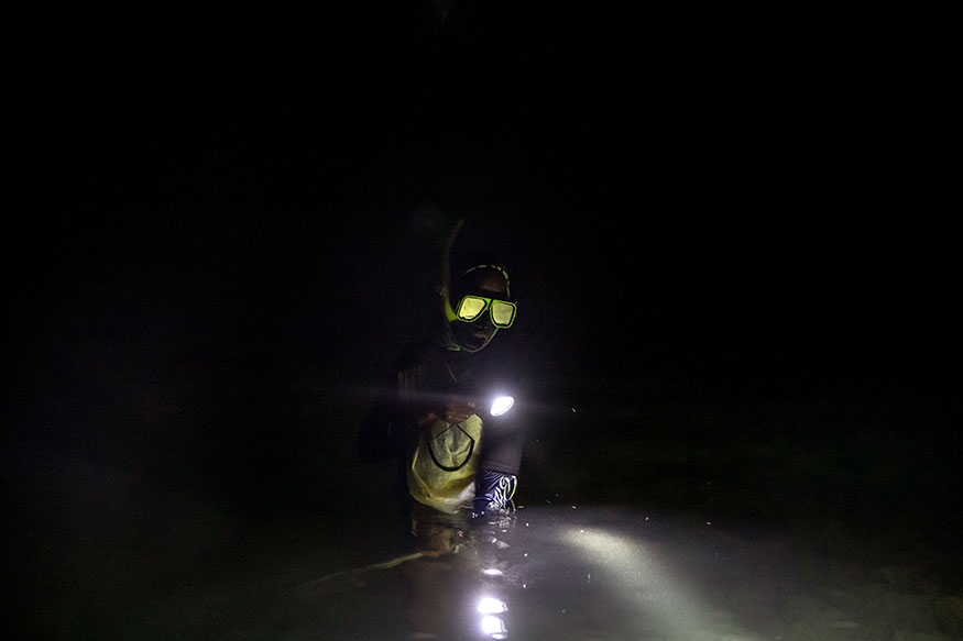 Night Fishing in Moonlit Sea in Eerie Silence - PHOTOS