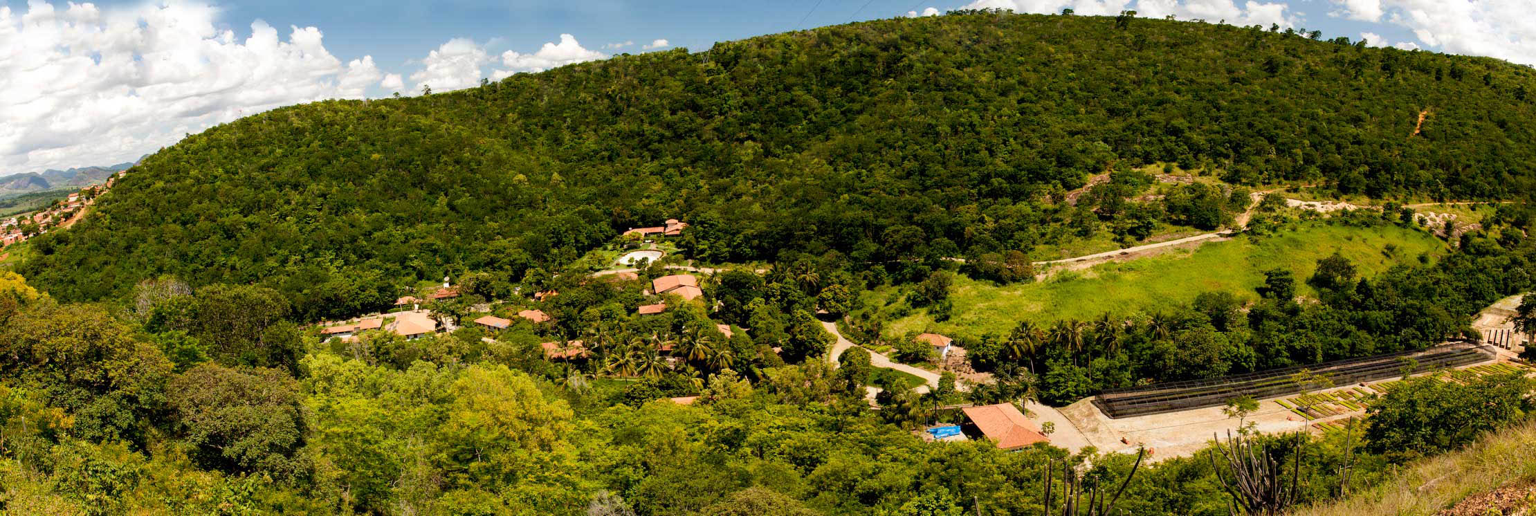 How a Brazil Couple Turned a Barren Wasteland into Dense Forest in 20 ...
