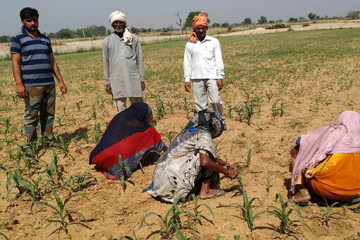 'Our Land is of No Use’: As Economy Shrinks, Degradation of Farms is a ...