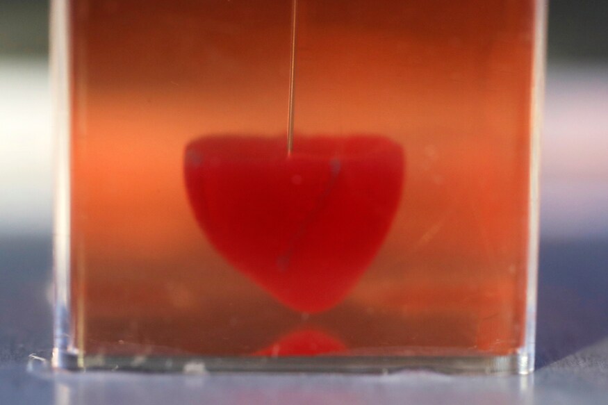 PICS: Israeli Scientists Unveil World's First 3D-Printed Heart - News18