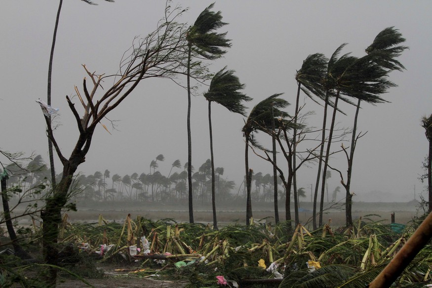The Destruction Caused by Cyclone Fani - In Pictures - News18