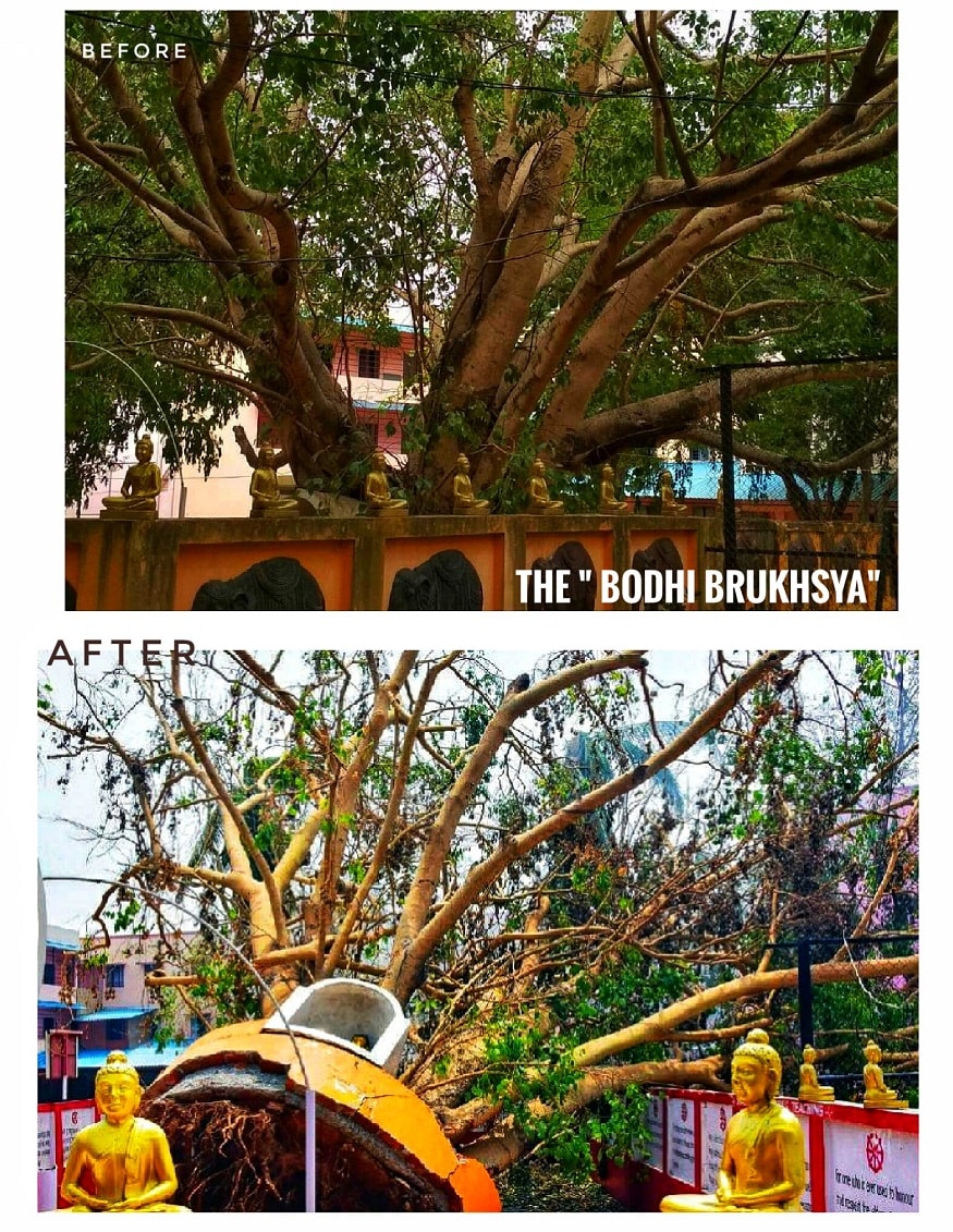 Heartbreaking 'Before and After' Photos Show How Odisha’s Iconic Places ...